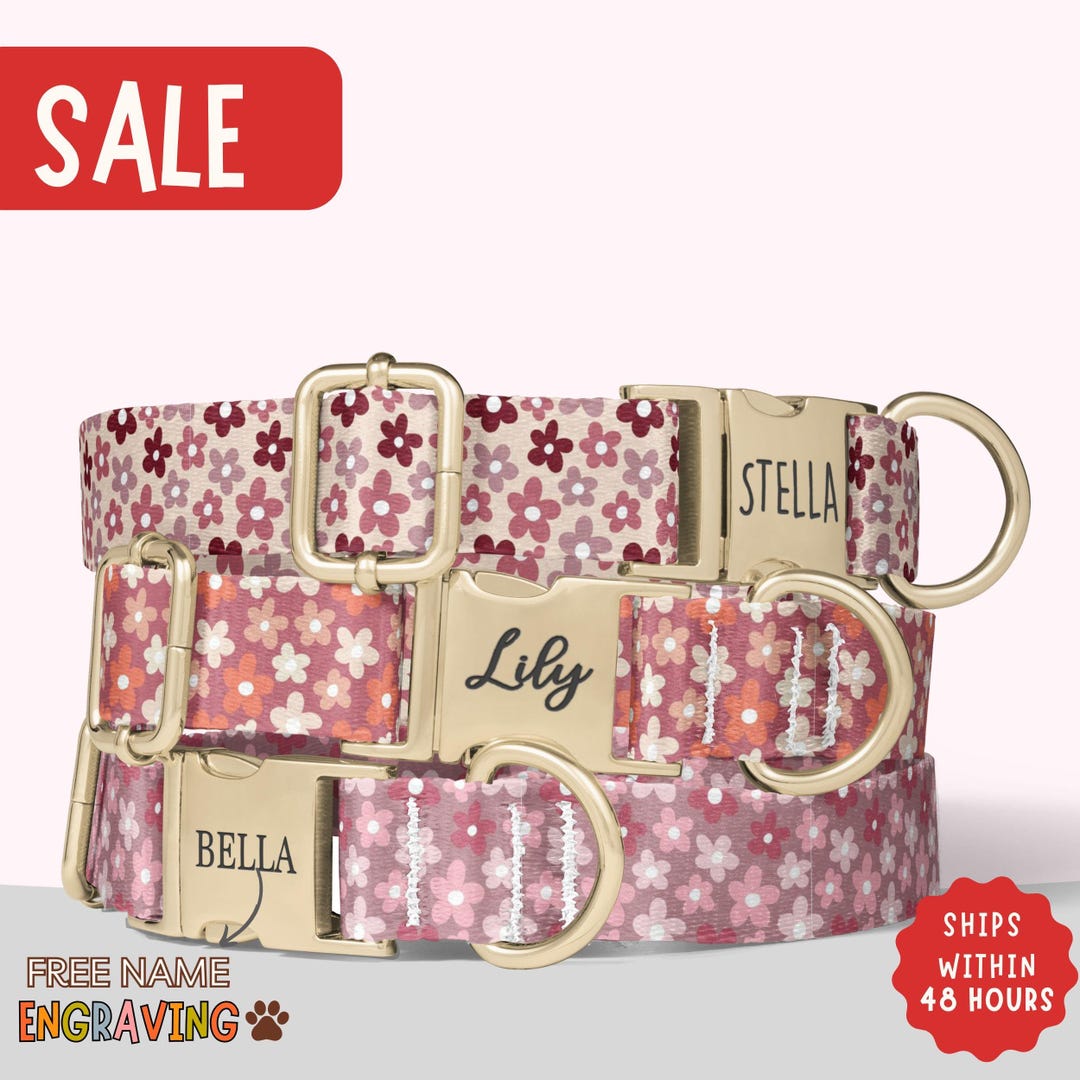 Daisy Dog Collar Personalized Boho Daisy Dog Collar With Name Dog ...