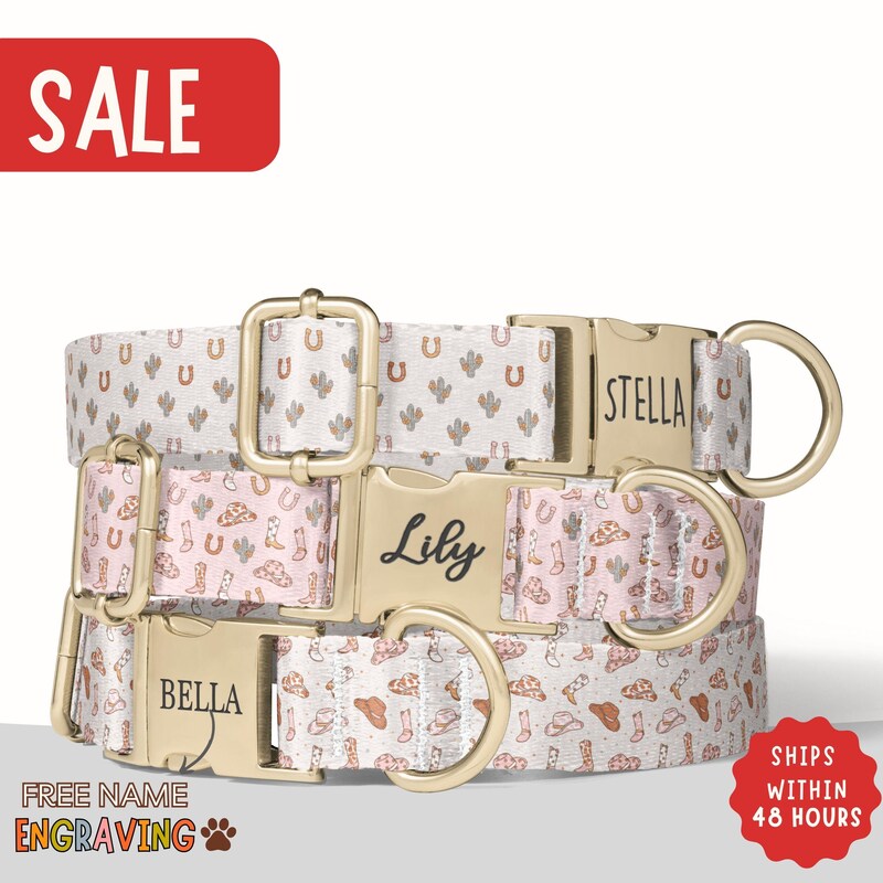 Girl Dog Collar - Etsy