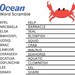 Ocean Word Scrambles and Word Searches, Printable Activities and Games ...
