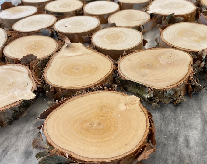 ORGANIC Ash Wood Slices - Live Edge Wood Rounds - Wood Disc - Assorted ...
