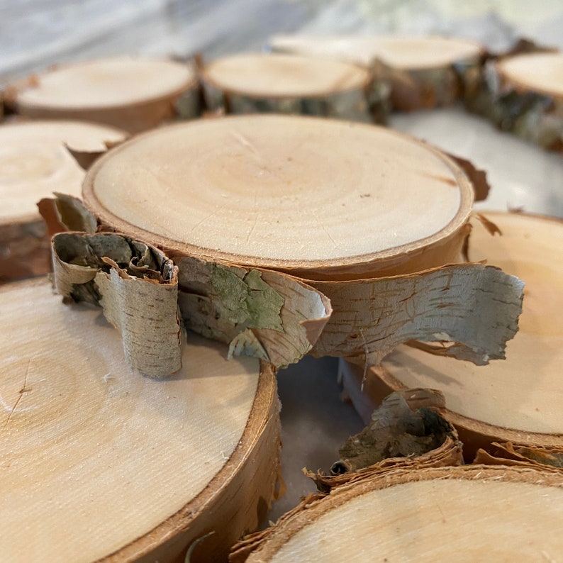 ORGANIC BIRCH Wood Slices - Live Edge Wood Rounds - Wood Disc ...