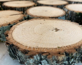 ORGANIC Ash Wood Slices Live Edge Wood Rounds Wood Disc Assorted Sizes ...