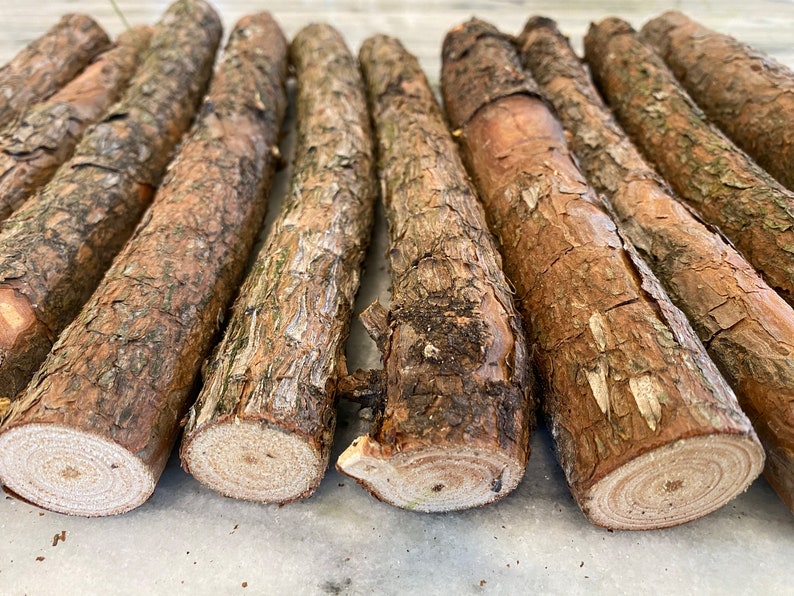 Organic PINE Logs 10” Length - Bundle of 10 - Wood Sticks - Eco ...