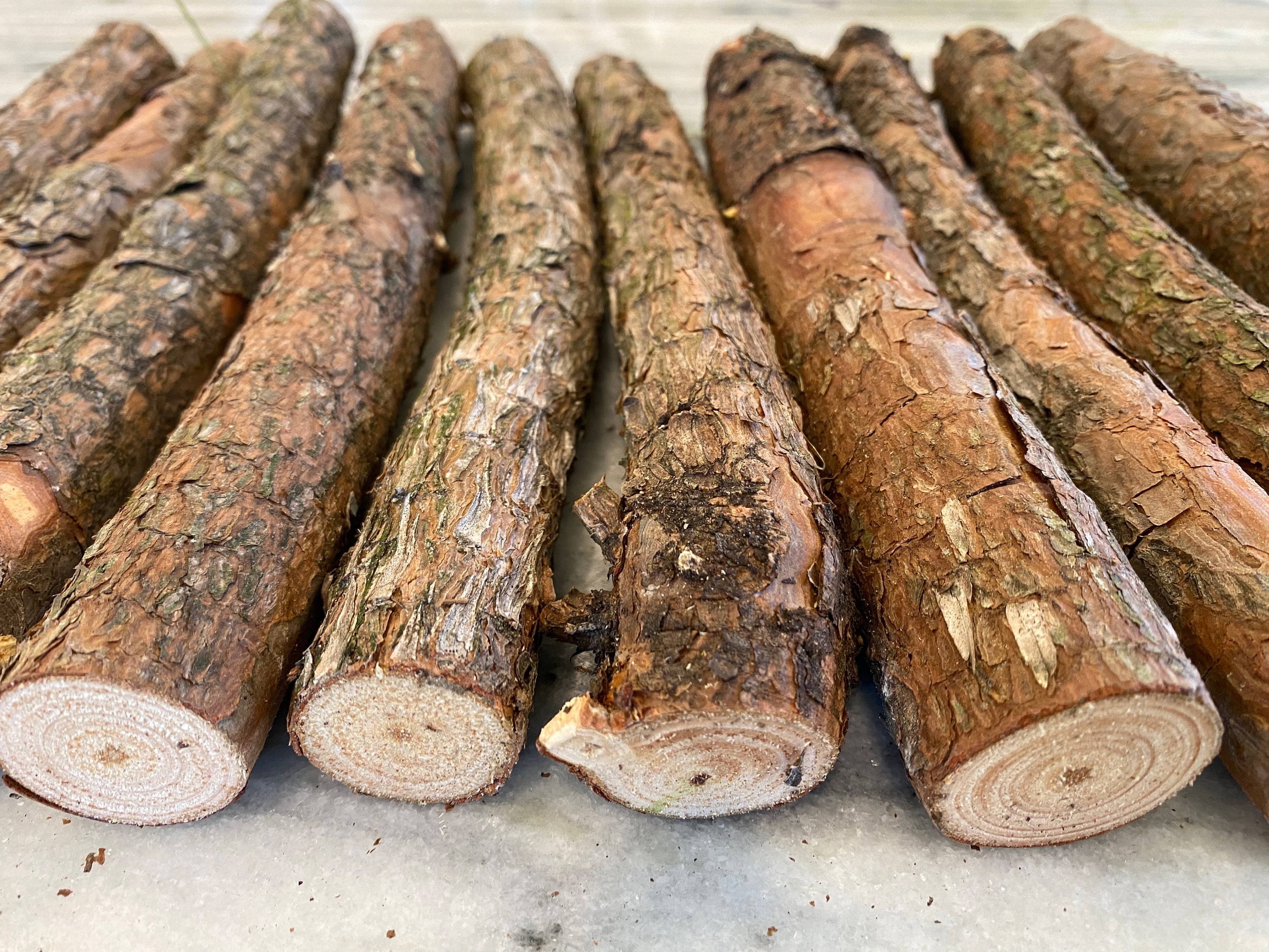 Organic PINE Logs 10” Length - Bundle of 10 - Wood Sticks - Eco ...