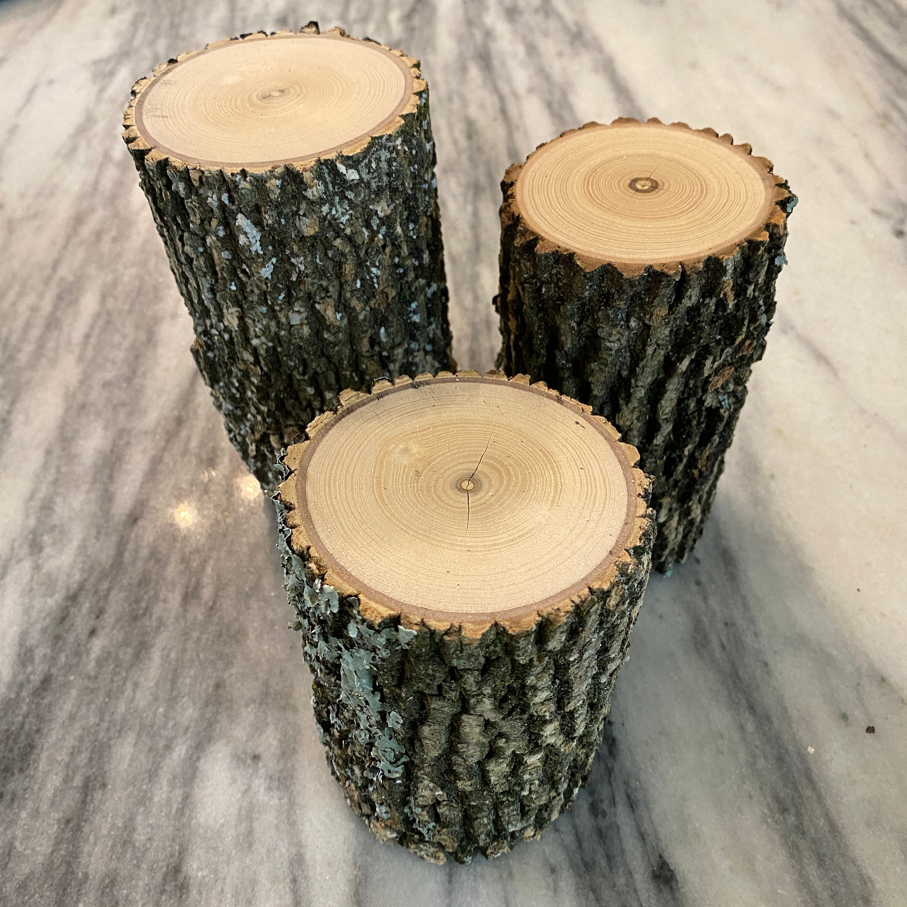 Set of 3 ASH Live Edge Log Stumps, Wedding Center Pieces, Fireplace ...