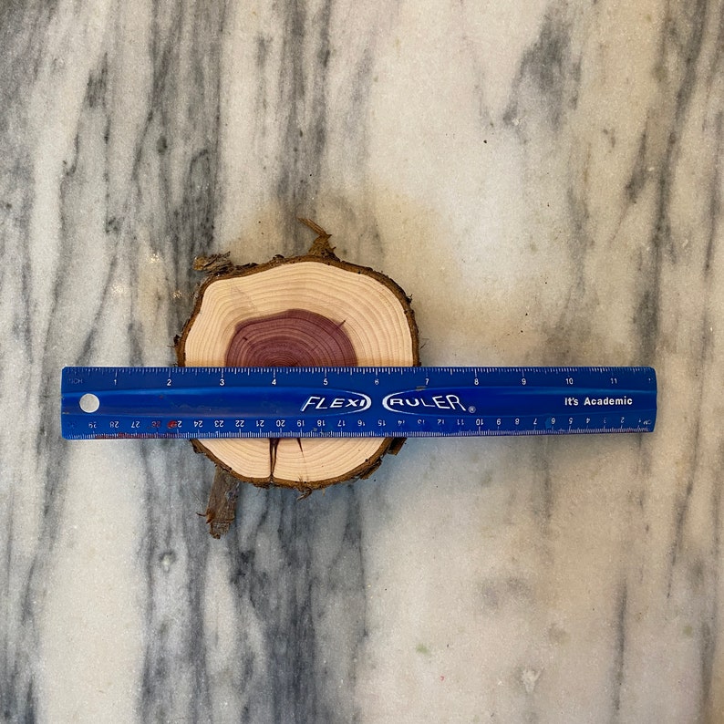 ORGANIC Red Cedar Wood Slices - Live Edge Wood Rounds - Wood Disc ...
