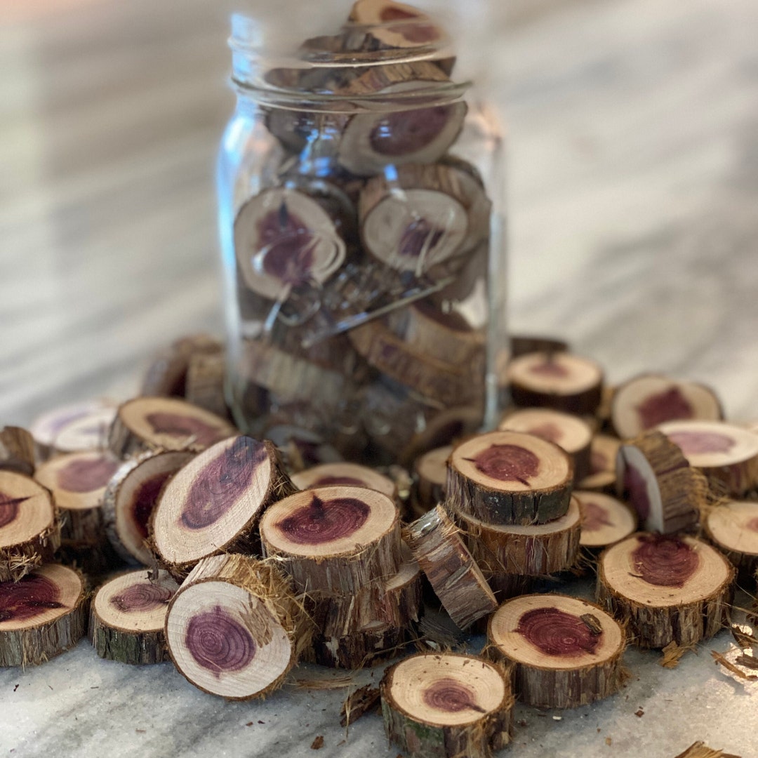 Organic CEDAR Log Discs - Vase Filler - Wood Sticks - Eco-friendly ...
