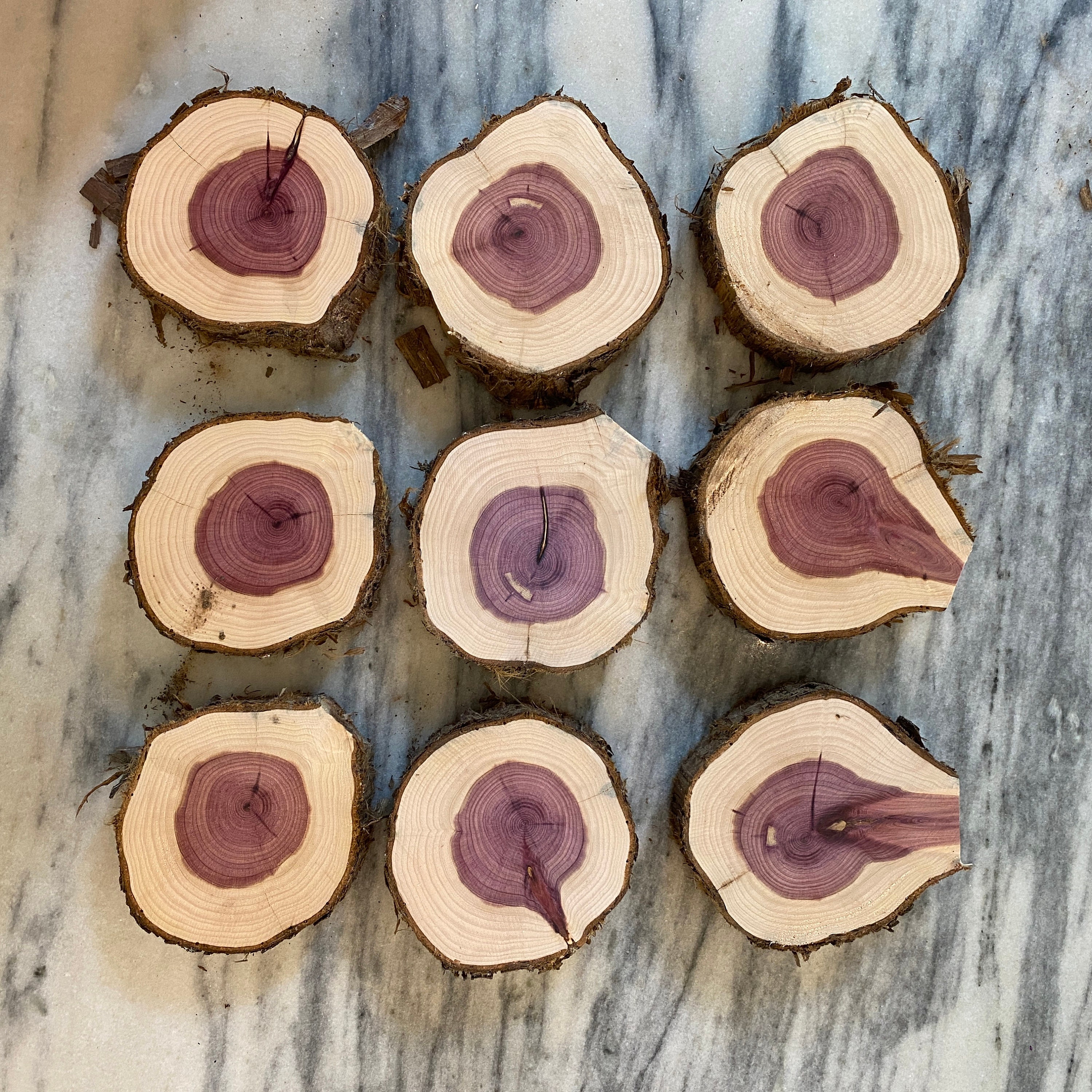 ORGANIC Red Cedar Wood Slices - Live Edge Wood Rounds - Wood Disc ...