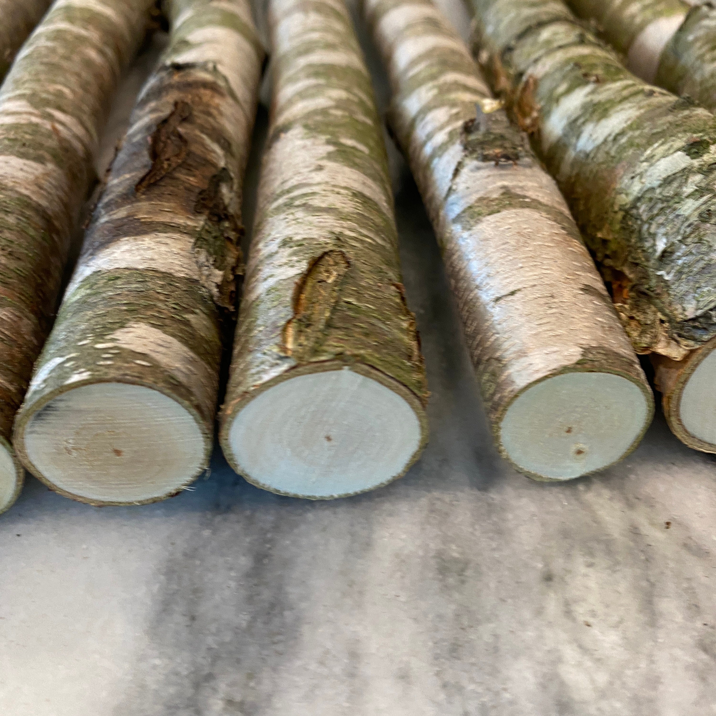 Organic BIRCH Logs 10” Length - Bundle of 10 - Wood Sticks - Eco ...