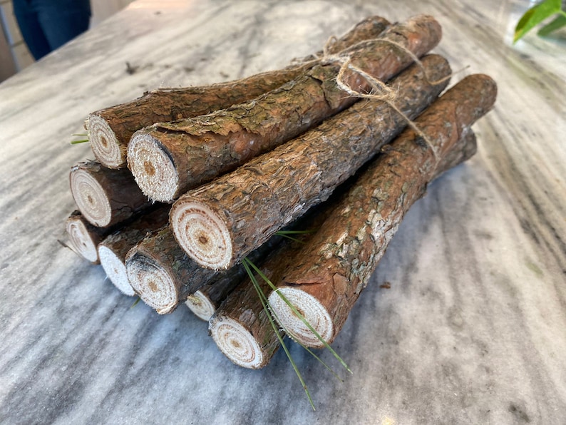 Organic PINE Logs 10” Length - Bundle of 10 - Wood Sticks - Eco ...