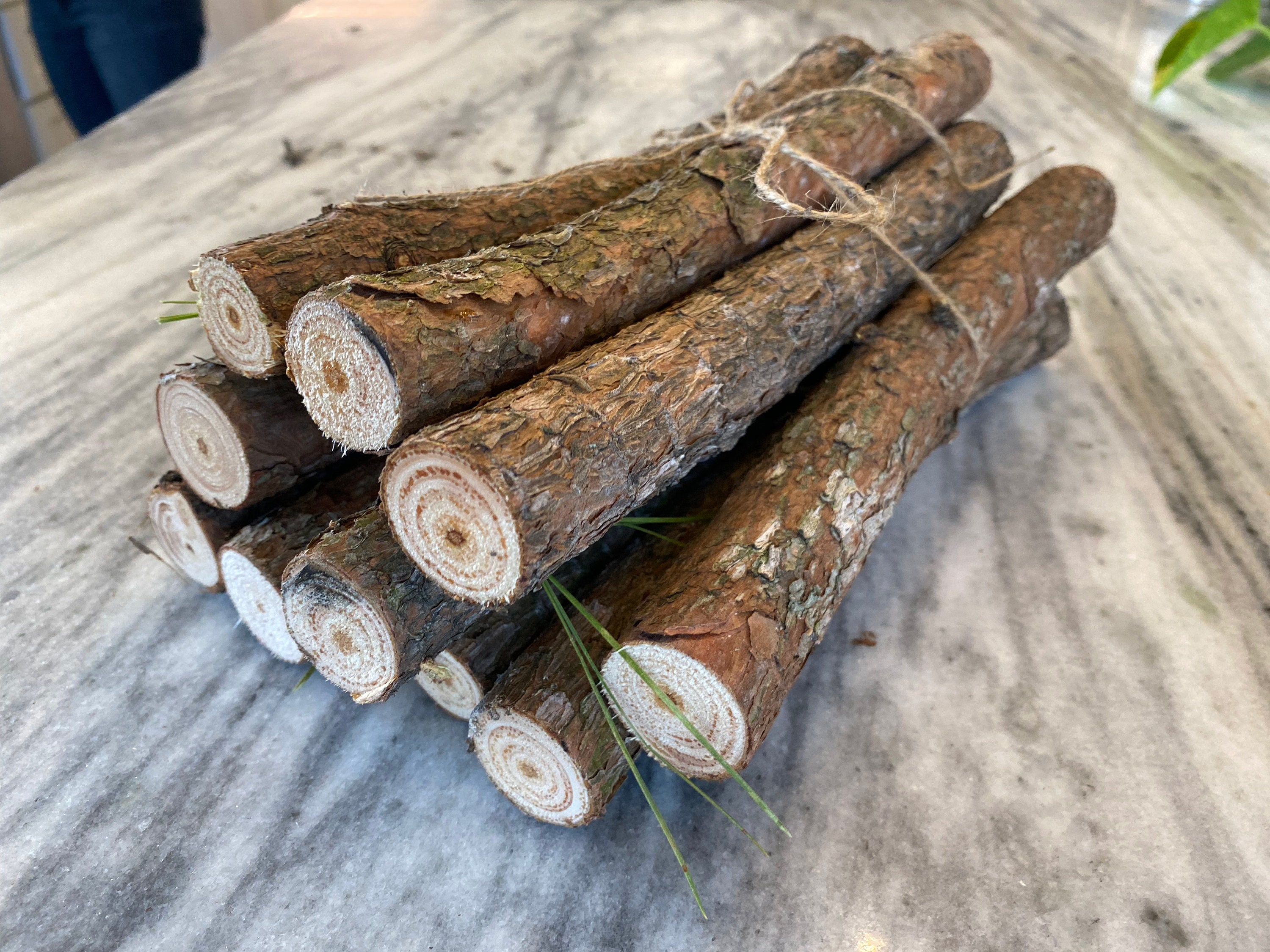 Organic PINE Logs 10” Length - Bundle of 10 - Wood Sticks - Eco ...