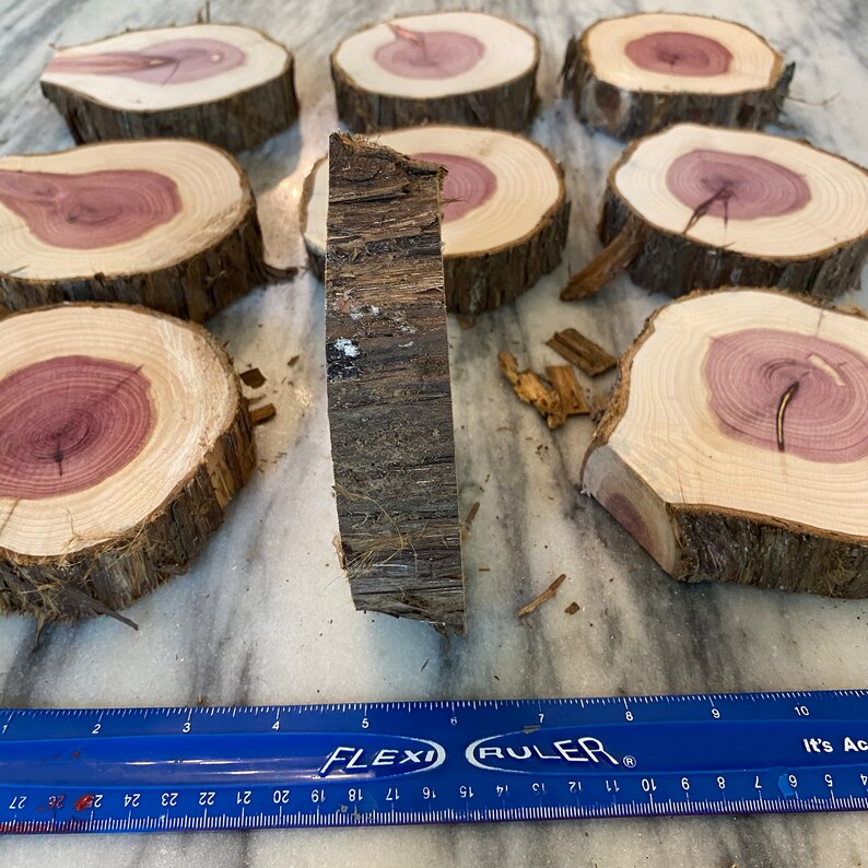 ORGANIC Red Cedar Wood Slices - Live Edge Wood Rounds - Wood Disc ...