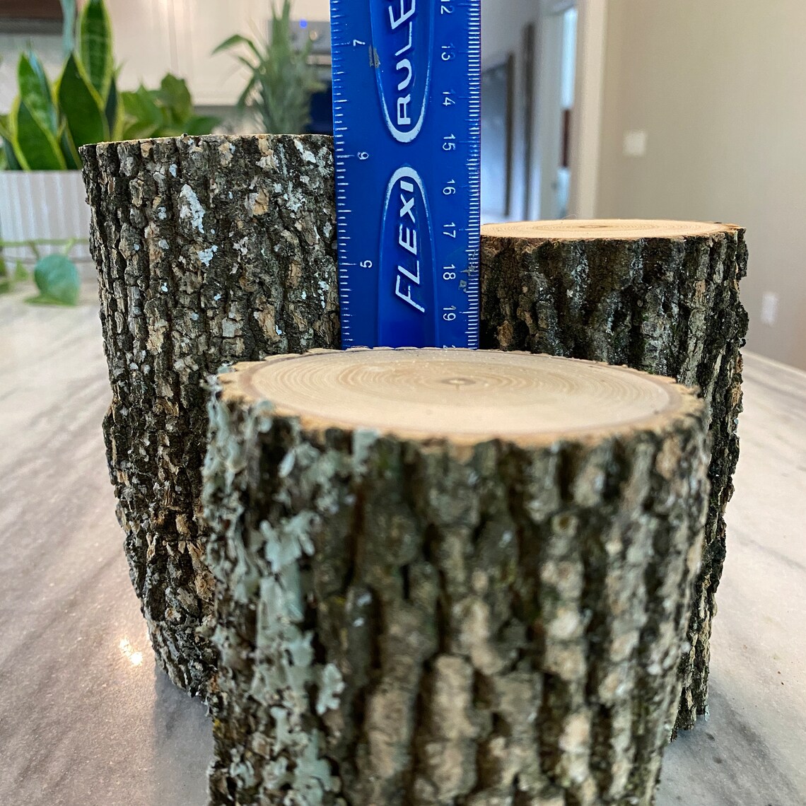 Set of 3 ASH Live Edge Log Stumps, Wedding Center Pieces, Fireplace ...