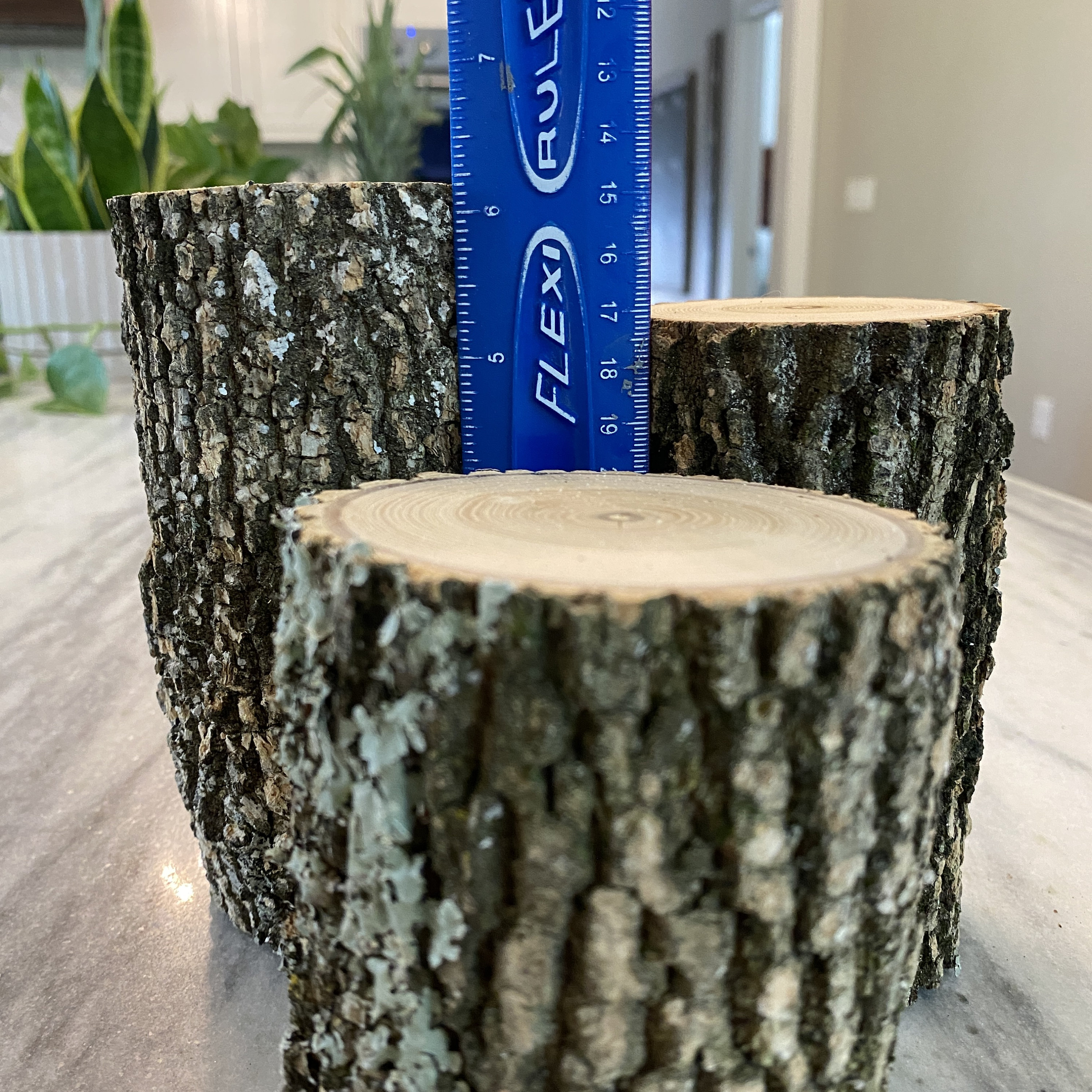 Set of 3 ASH Live Edge Log Stumps, Wedding Center Pieces, Fireplace ...