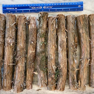 Organic CEDAR Logs 10” Length - Bundle of 10 - Wood Sticks - Eco ...