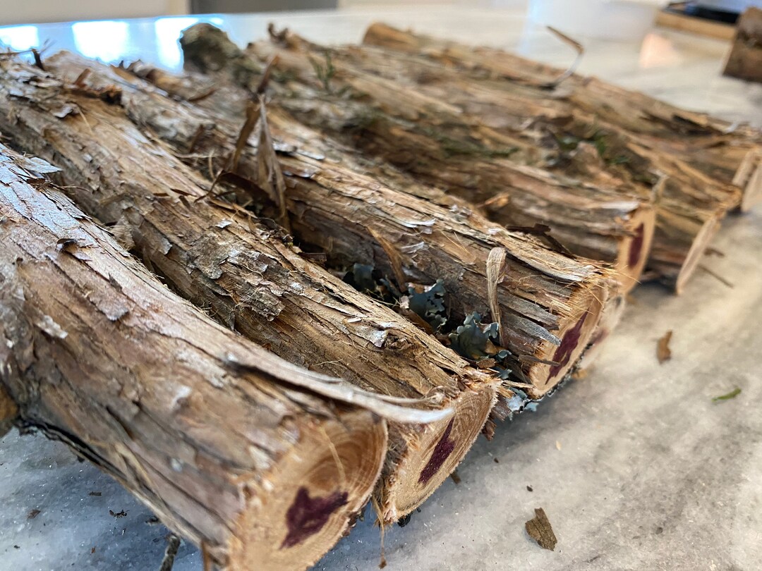 Organic CEDAR Logs 10” Length - Bundle of 10 - Wood Sticks - Eco ...