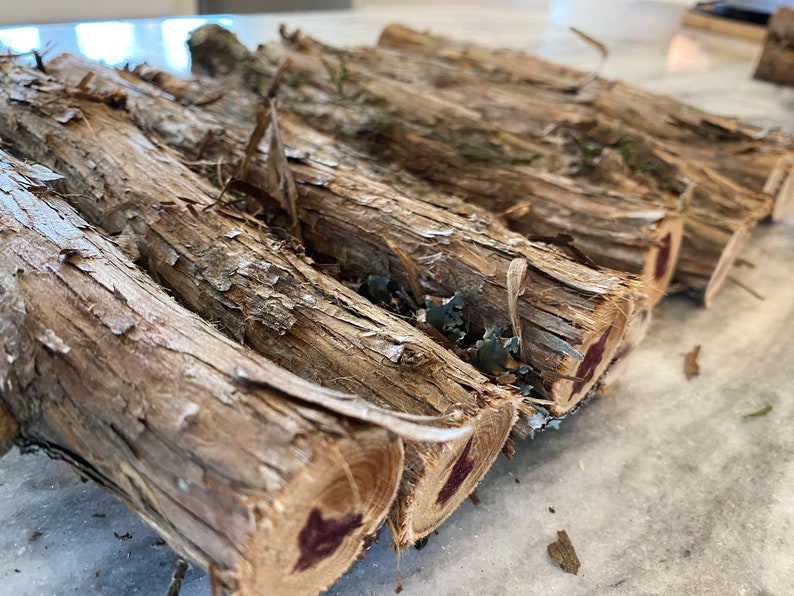Organic CEDAR Logs 10” Length - Bundle of 10 - Wood Sticks - Eco ...