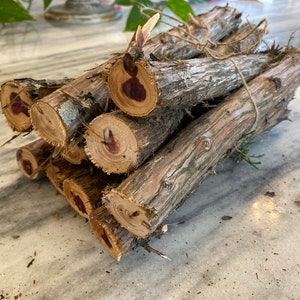 Organic CEDAR Logs 10” Length - Bundle of 10 - Wood Sticks - Eco ...