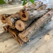 Organic CEDAR Logs 10” Length - Bundle of 10 - Wood Sticks - Eco ...