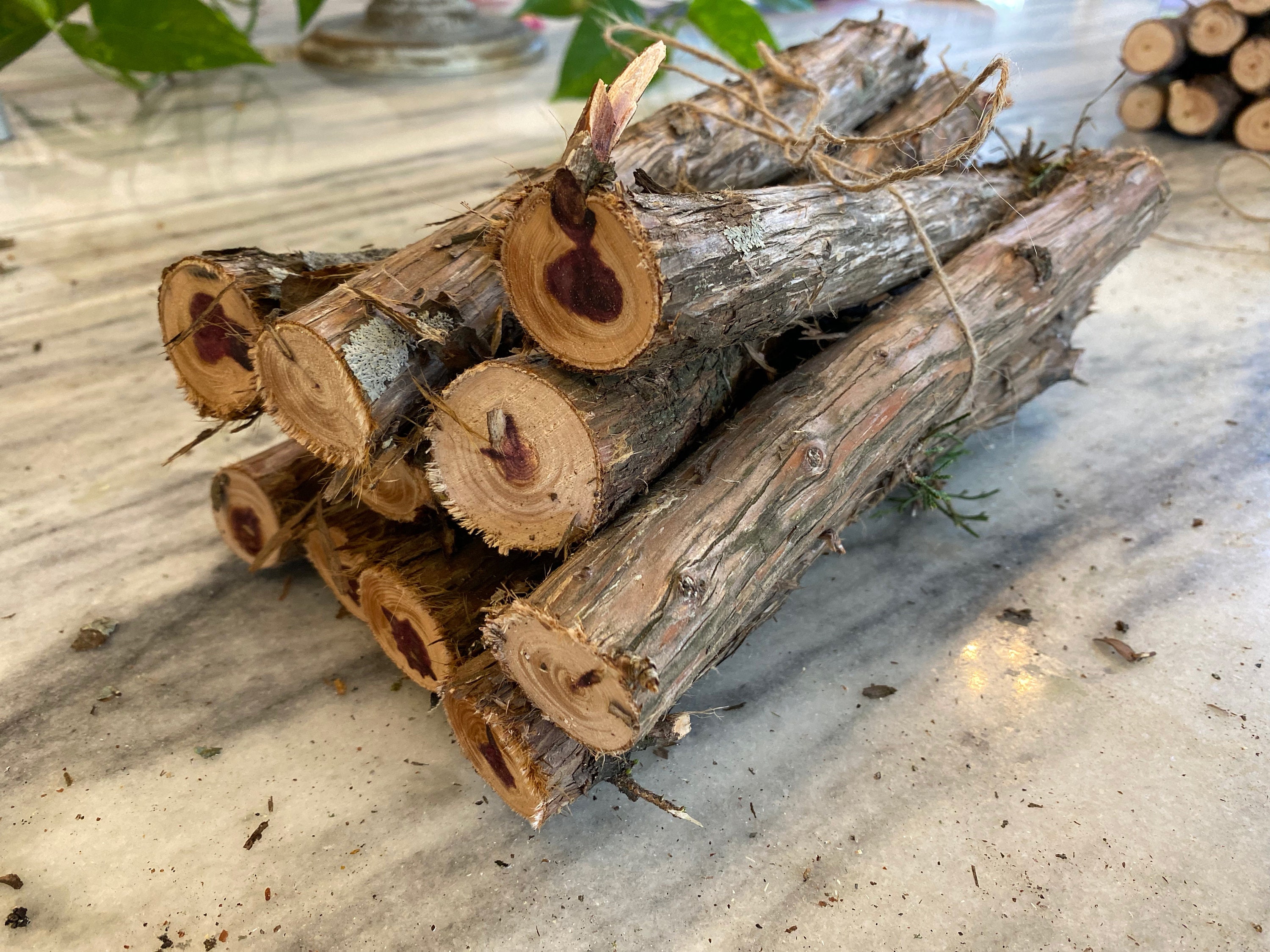 Organic CEDAR Logs 10” Length - Bundle of 10 - Wood Sticks - Eco ...