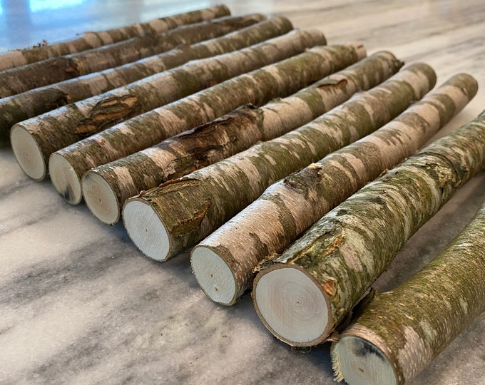 Organic OAK Logs 10” Length - Bundle of 10 - Wood Sticks - Eco-friendly ...