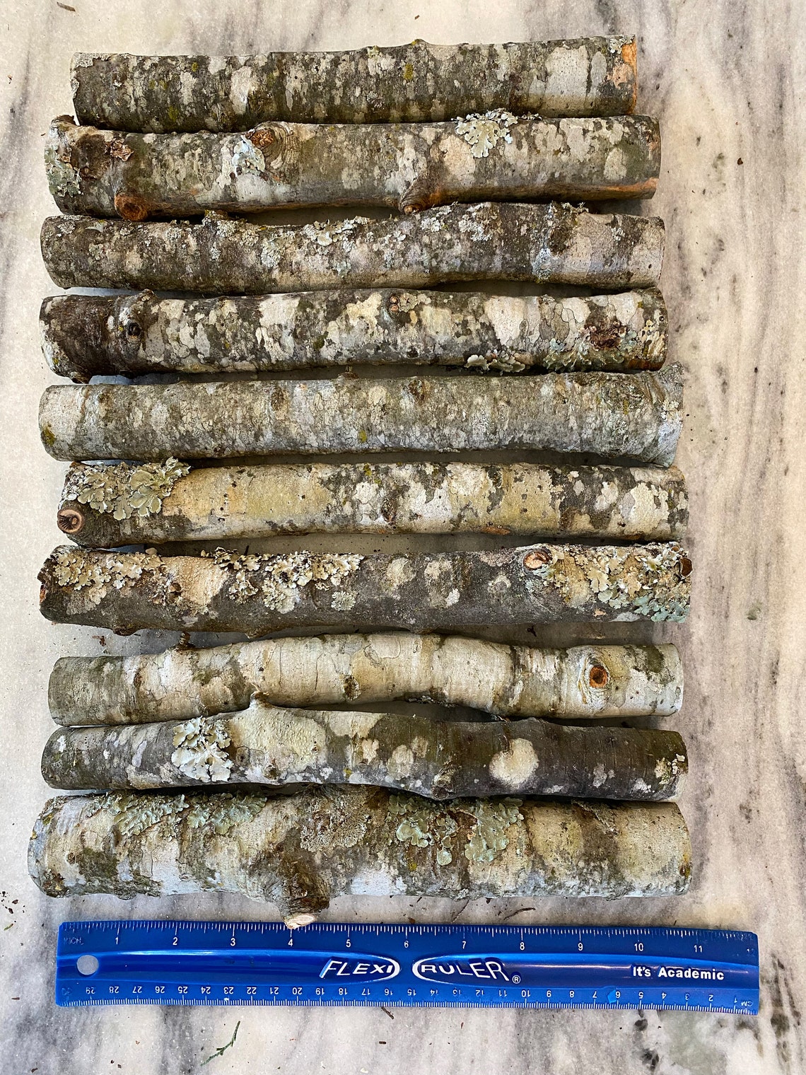 Organic OAK Logs 10” Length - Bundle of 10 - Wood Sticks - Eco-friendly ...