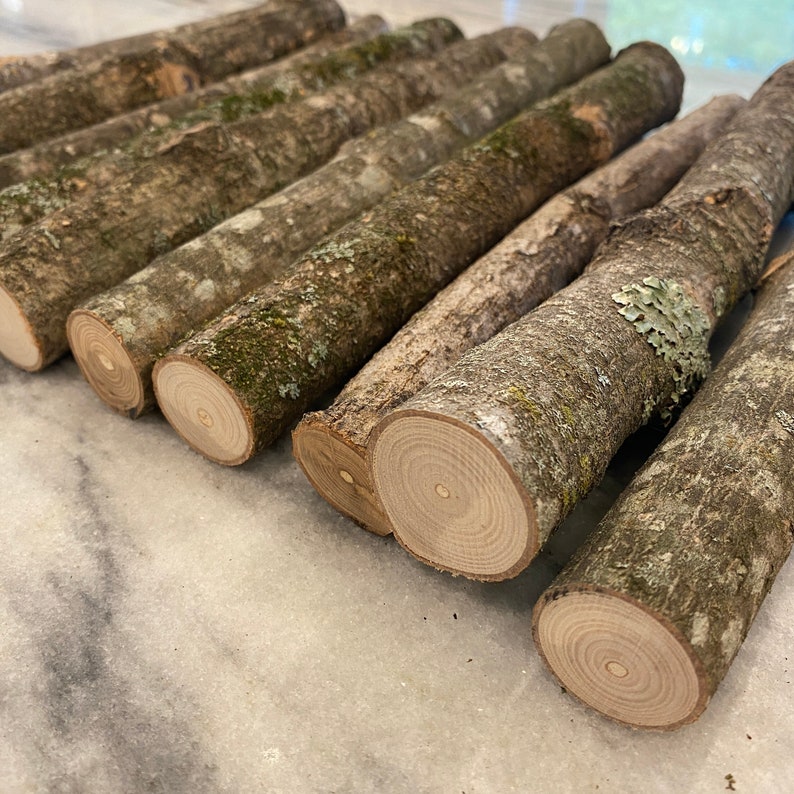 Organic ASH Logs 10 Length Bundle of 10 Wood Sticks Eco-friendly ASH ...