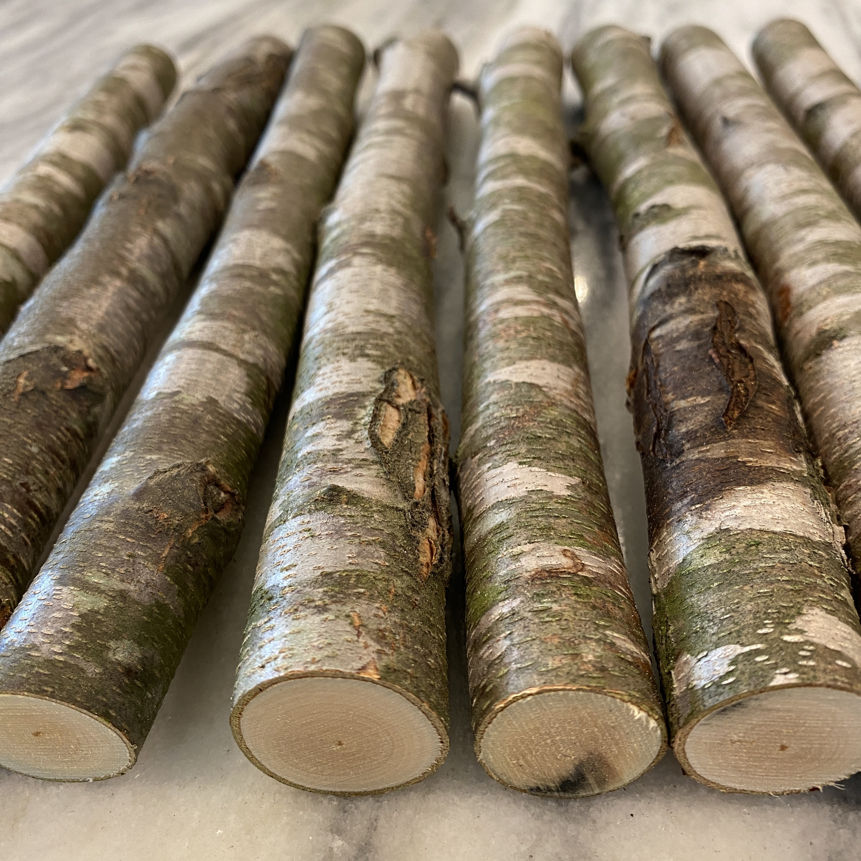 Organic BIRCH Logs 10” Length - Bundle of 10 - Wood Sticks - Eco ...