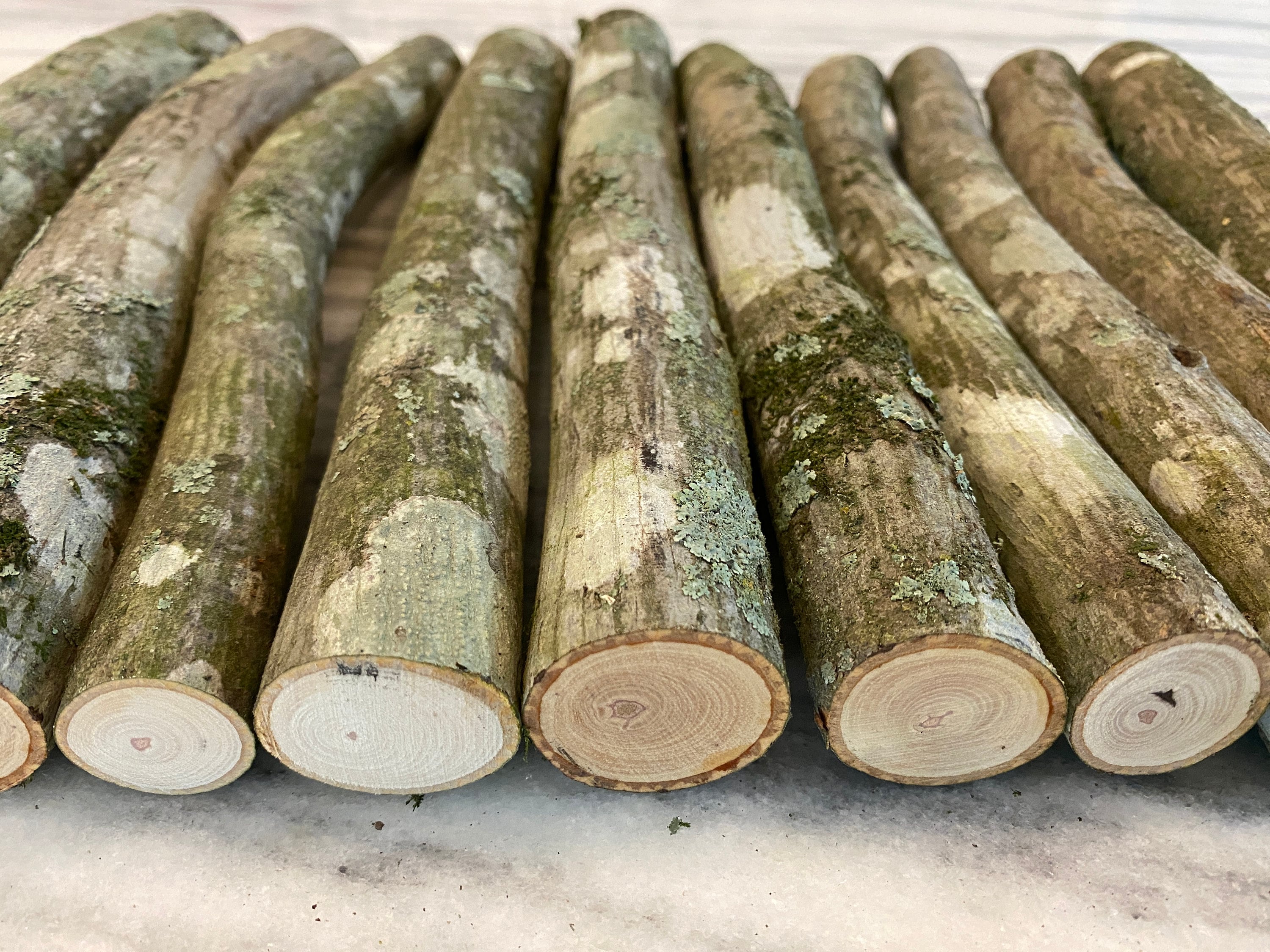 Organic HICKORY Logs 10” Length - Bundle of 10 - Wood Sticks - Eco ...