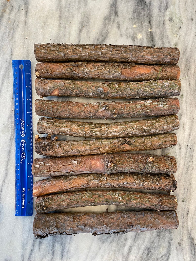 Organic PINE Logs 10” Length - Bundle of 10 - Wood Sticks - Eco ...