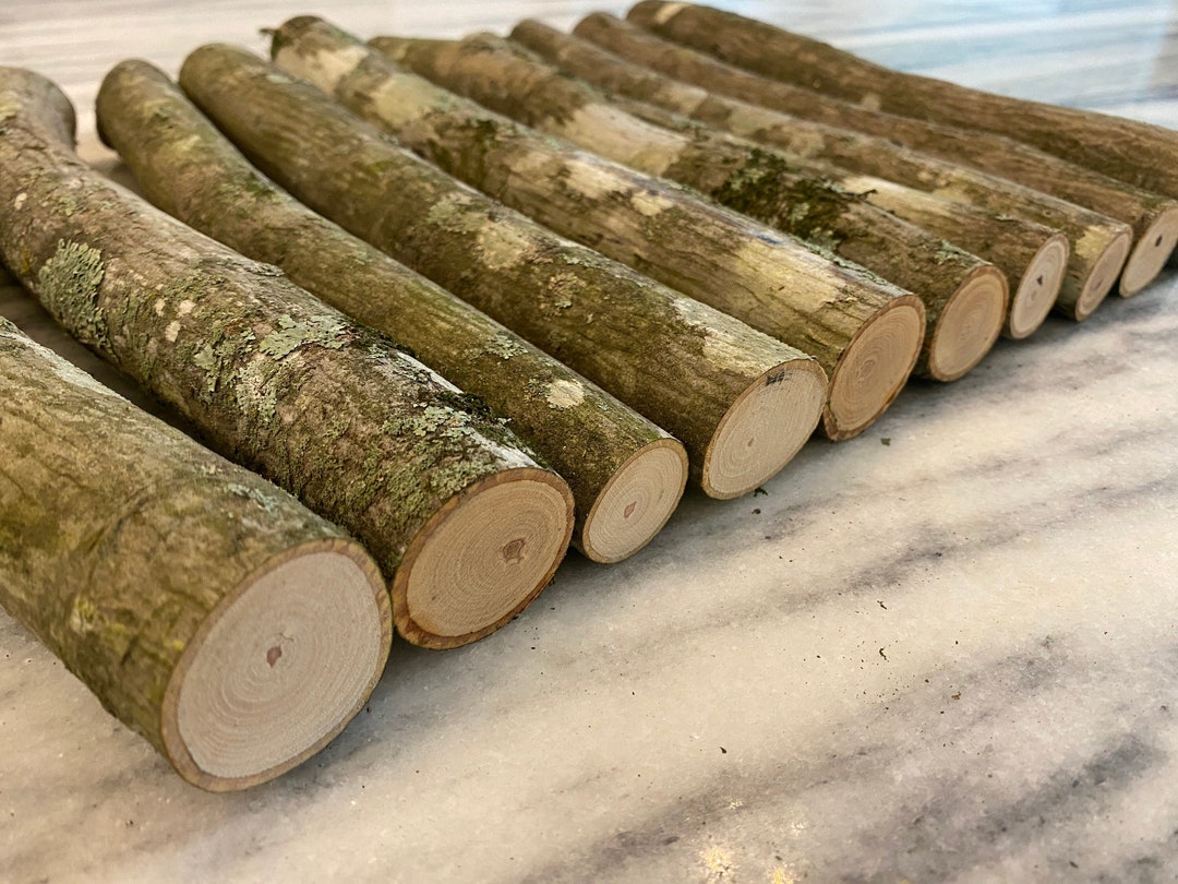 Organic HICKORY Logs 10” Length - Bundle of 10 - Wood Sticks - Eco ...