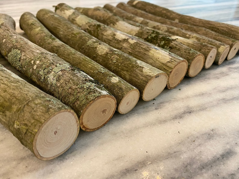 Organic HICKORY Logs 10” Length - Bundle of 10 - Wood Sticks - Eco ...