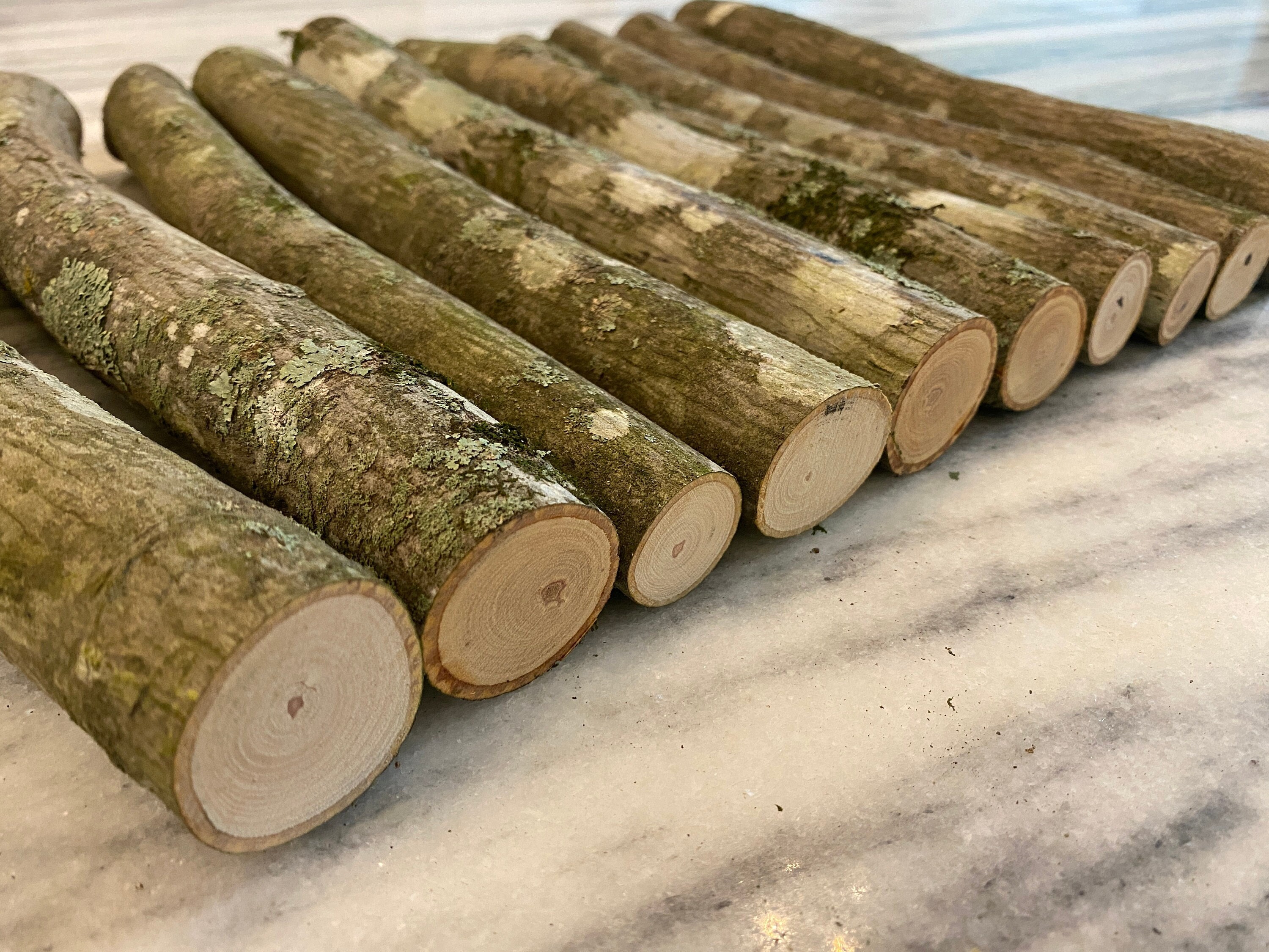Organic HICKORY Logs 10” Length - Bundle of 10 - Wood Sticks - Eco ...