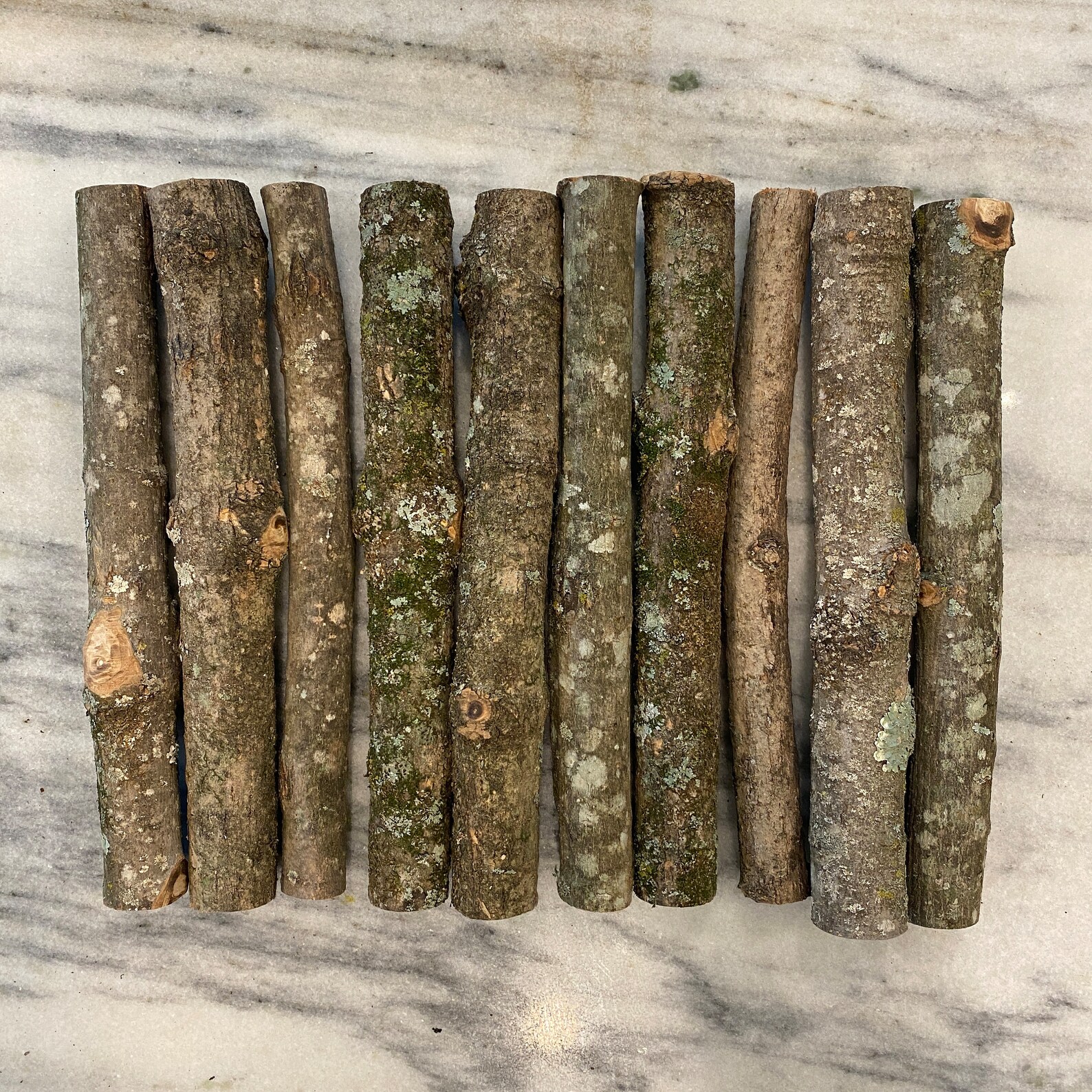 Organic ASH Logs 10 Length Bundle of 10 Wood Sticks Eco-friendly ASH ...