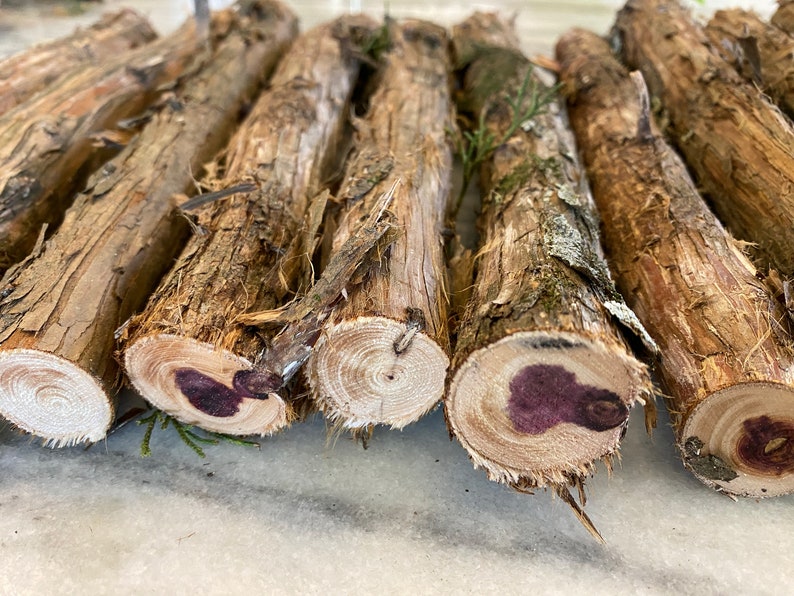 Organic CEDAR Logs 10” Length - Bundle of 10 - Wood Sticks - Eco ...