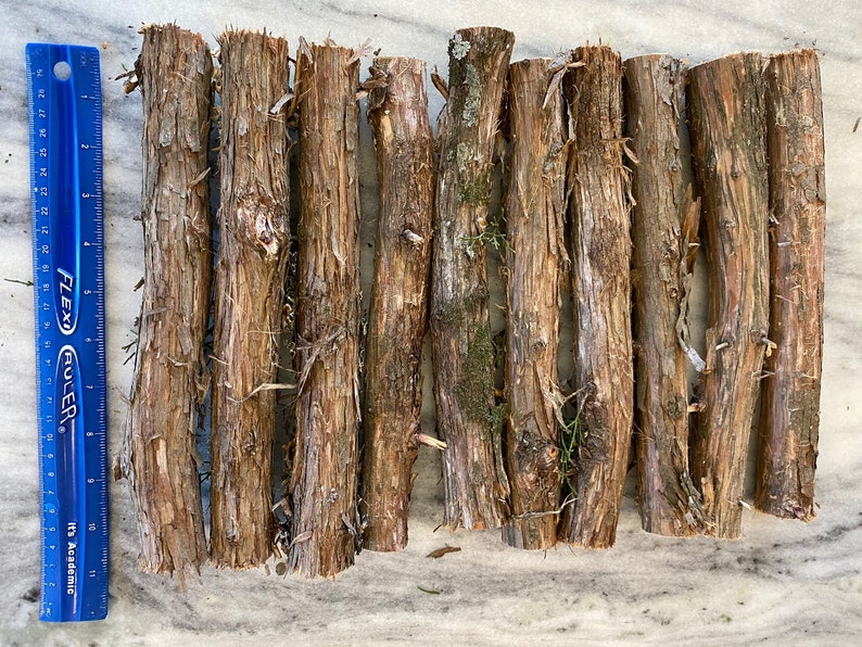 Organic CEDAR Logs 10” Length - Bundle of 10 - Wood Sticks - Eco ...