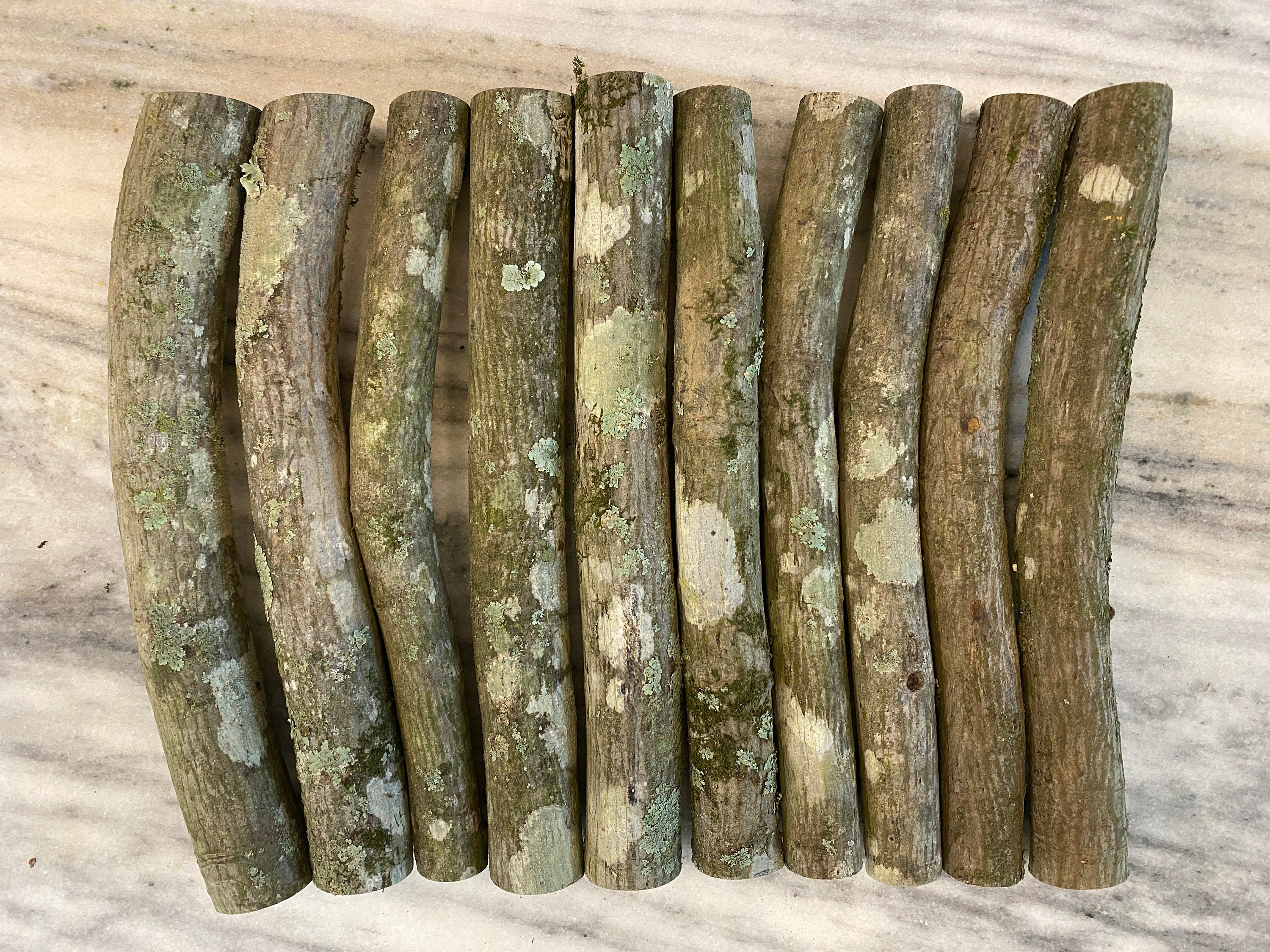 Organic HICKORY Logs 10” Length - Bundle of 10 - Wood Sticks - Eco ...