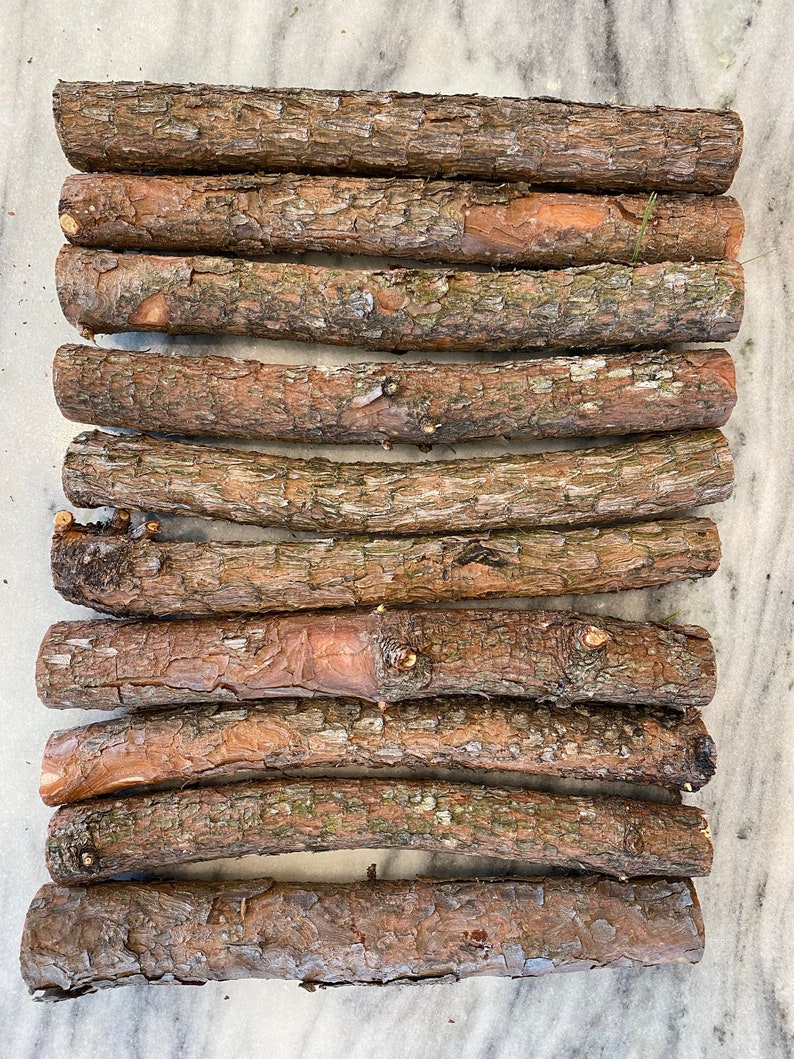 Organic PINE Logs 10” Length - Bundle of 10 - Wood Sticks - Eco ...