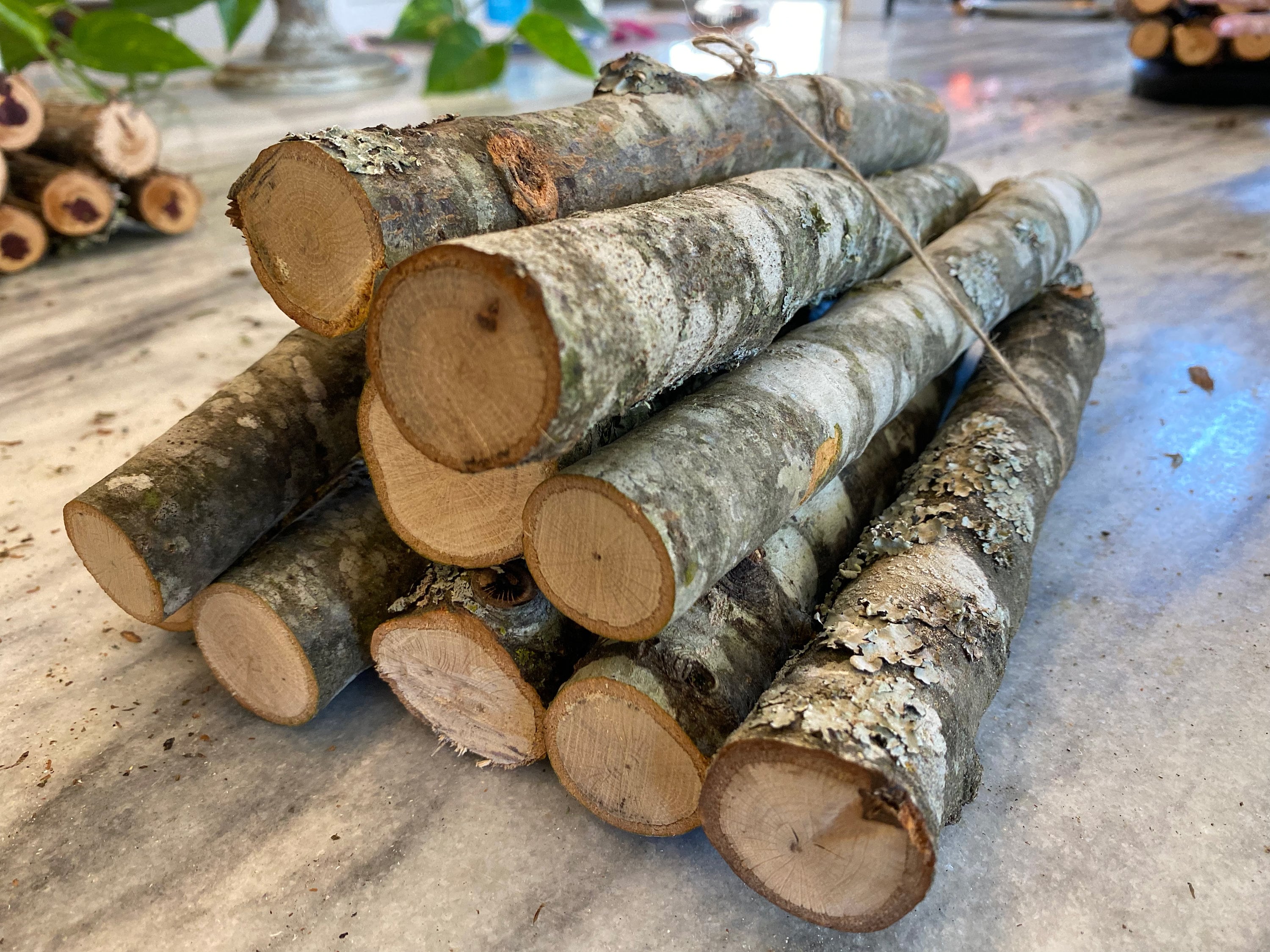 Organic OAK Logs 10” Length - Bundle of 10 - Wood Sticks - Eco-friendly ...