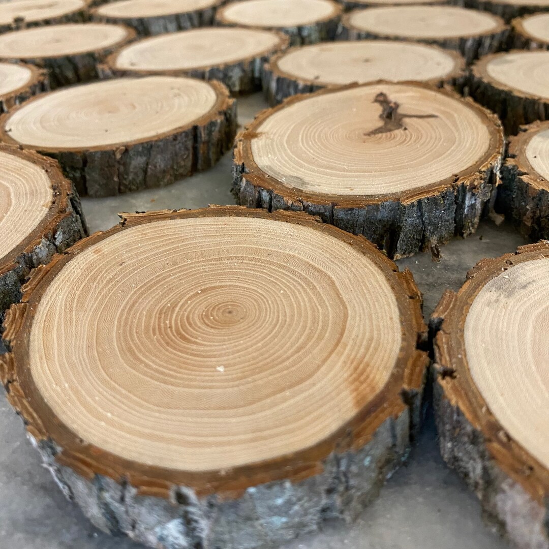 ORGANIC Ash Wood Slices Live Edge Wood Rounds Wood Disc Assorted Sizes ...