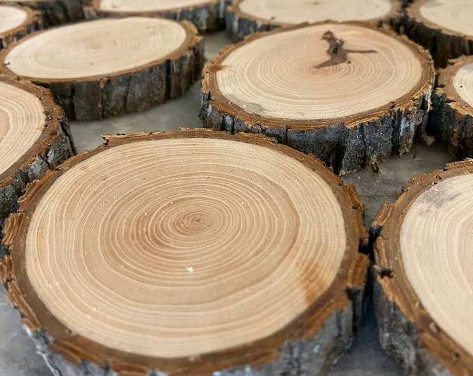 ORGANIC Ash Wood Slices - Live Edge Wood Rounds - Wood Disc - Assorted ...