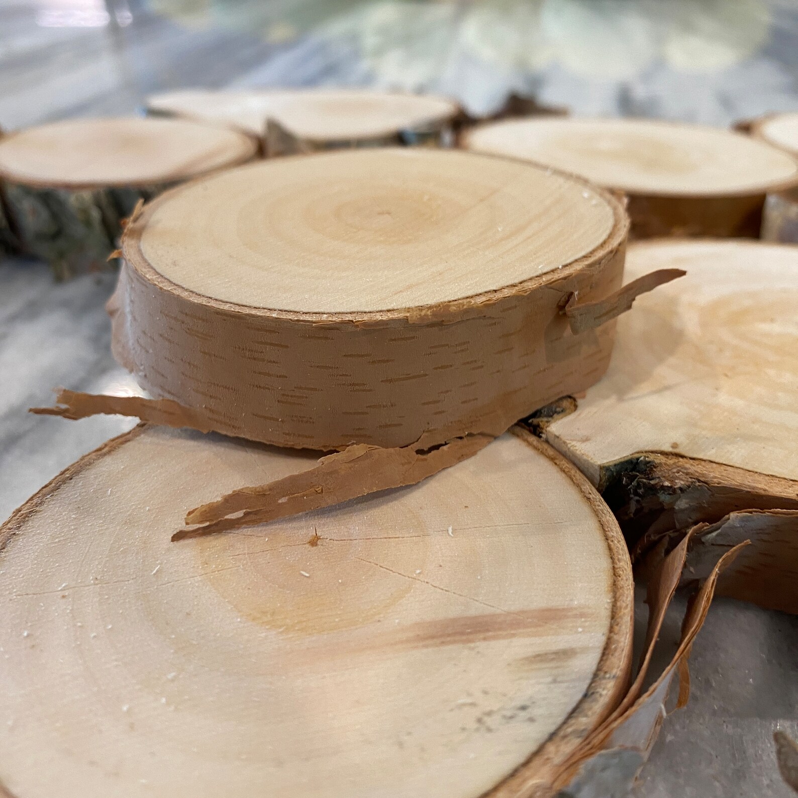 ORGANIC BIRCH Wood Slices - Live Edge Wood Rounds - Wood Disc ...