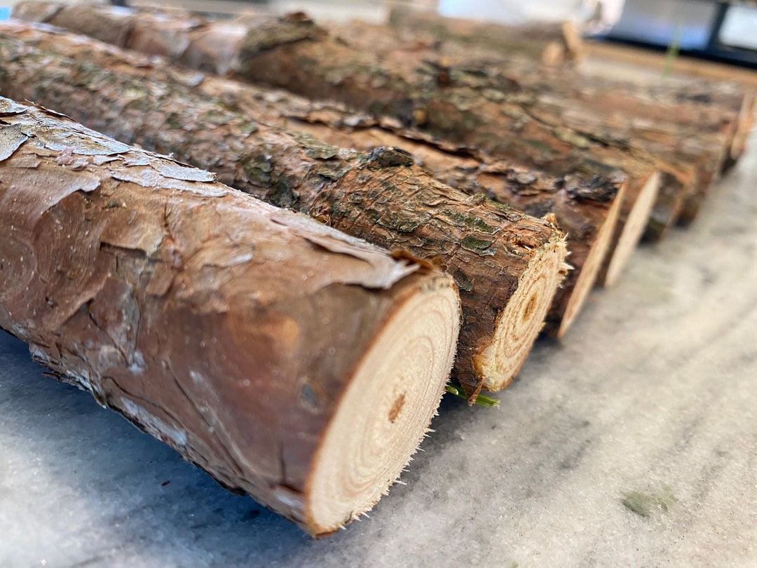 Organic PINE Logs 10” Length - Bundle of 10 - Wood Sticks - Eco ...