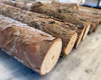 Organic CEDAR Logs 10” Length - Bundle of 10 - Wood Sticks - Eco ...