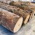 Organic CEDAR Logs 10” Length - Bundle of 10 - Wood Sticks - Eco ...