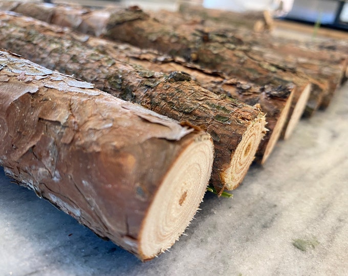 Organic OAK Logs 10” Length - Bundle of 10 - Wood Sticks - Eco-friendly ...