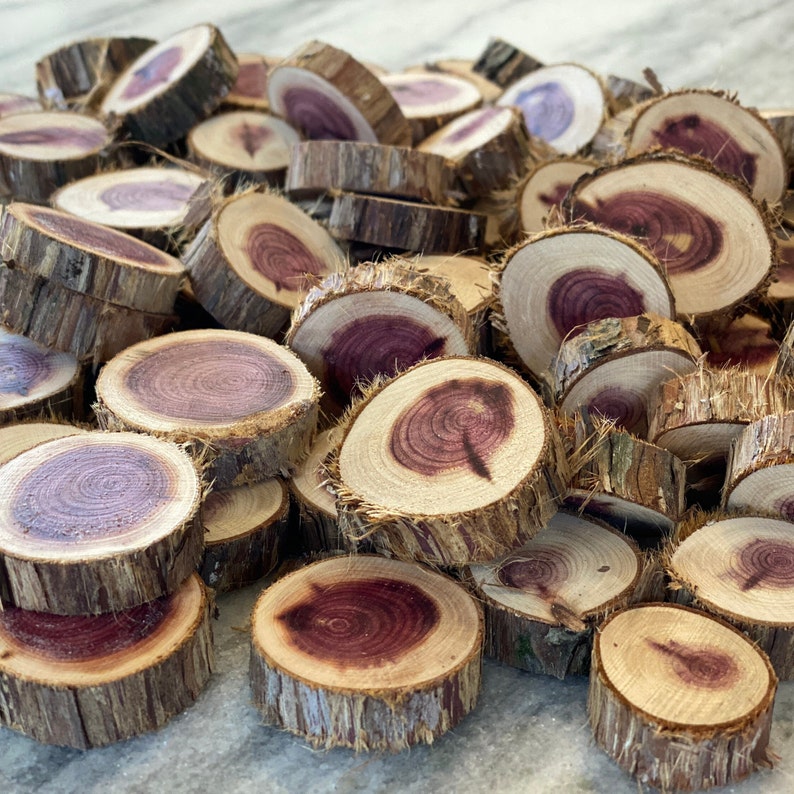 Organic CEDAR Log Discs Vase Filler Wood Sticks Eco-friendly Cedar ...