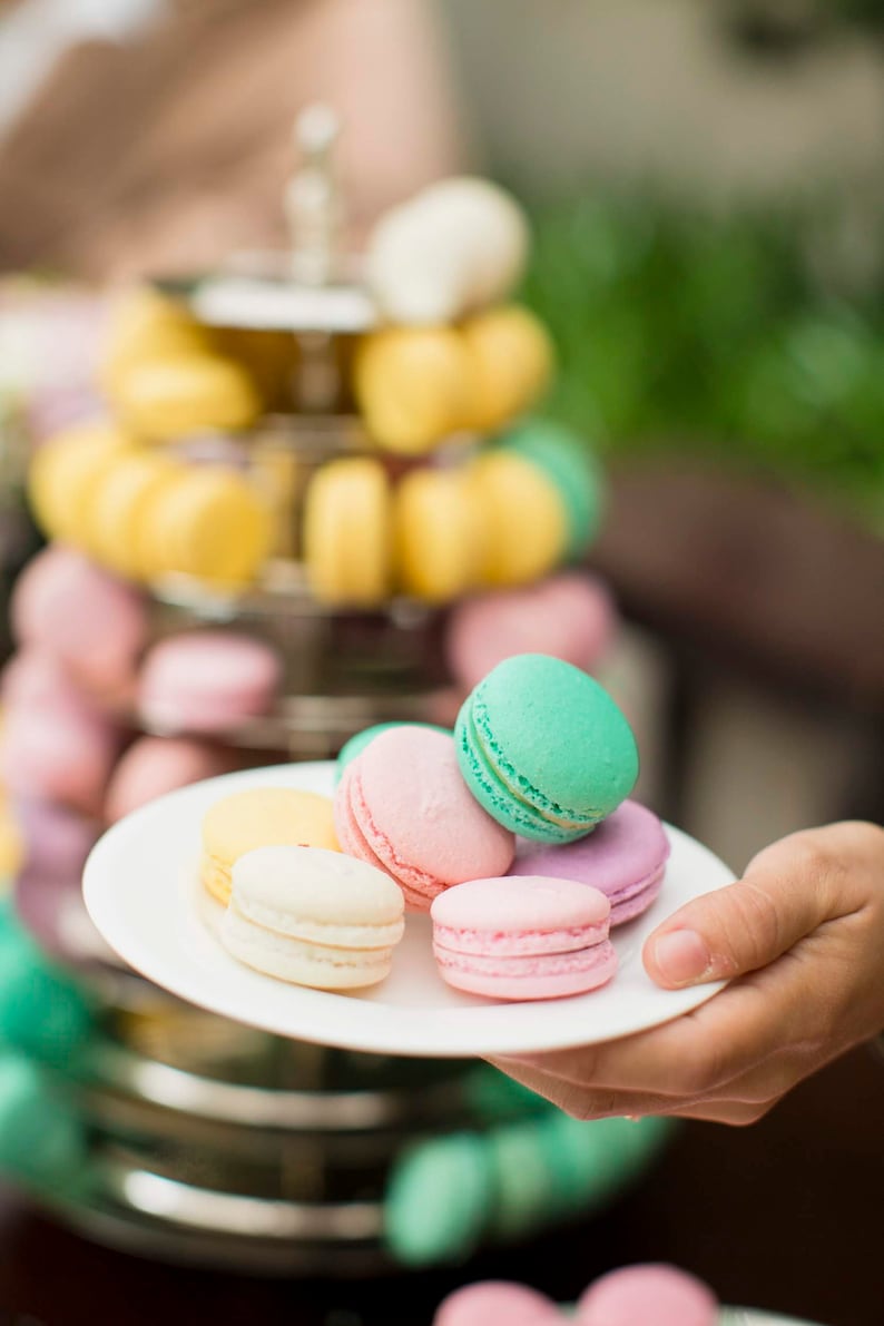 Macaron Template (10 Designs) Digital Printable - Etsy