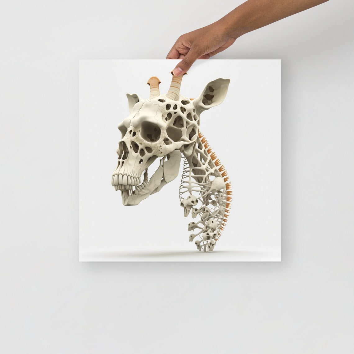 Giraffe Skull Art Print: Animal Skulls Home Decor (digital Download) - Etsy