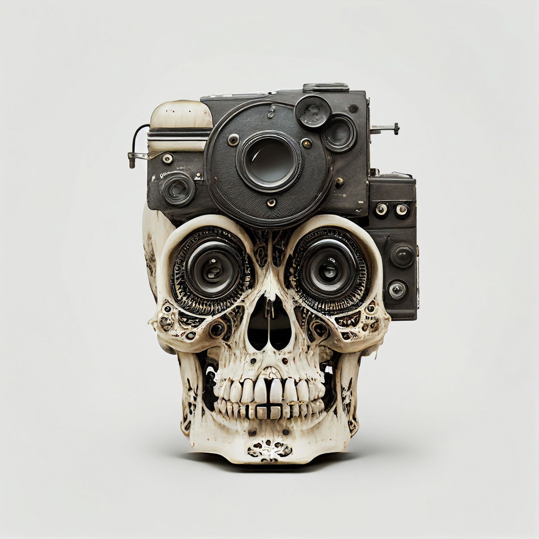 Skulls & Cameras Art Print 1 - Camera Art - Instant Digital Download ...